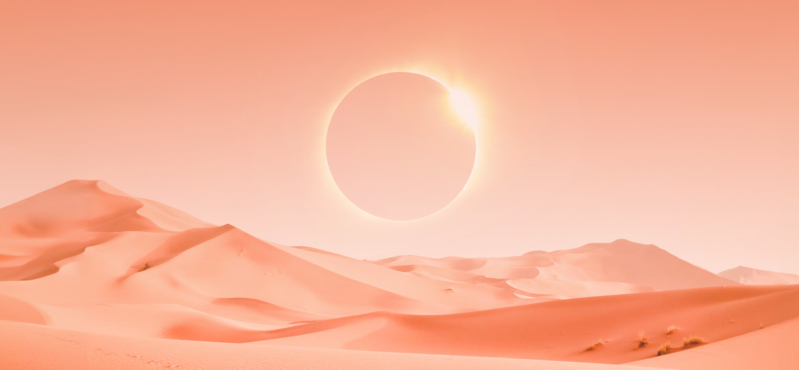 The Great American Eclipse: Where and How to See the Eclipse – Spirit ...