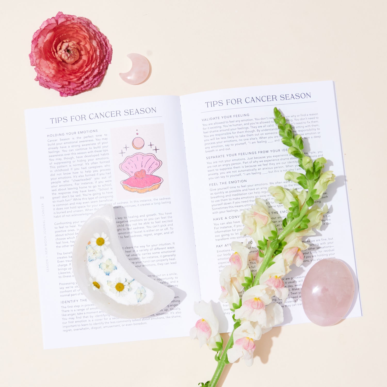 Cancer Season + New Moon Workbook (Printed) – Spirit Daughter